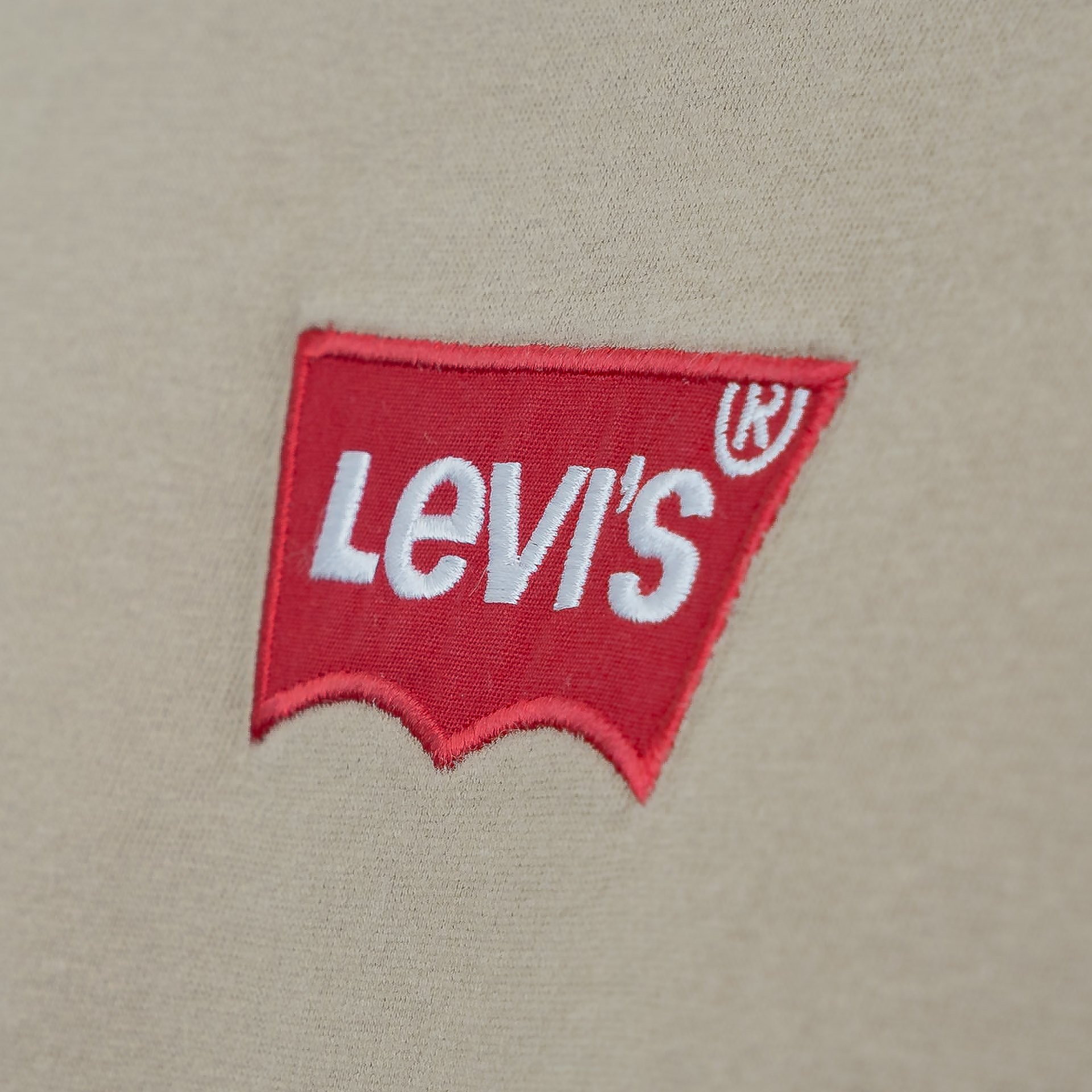 CAMISETA MASCULINA LEVIS - VINTAGE FIT GRAPHIC - 873730181 - BEGE